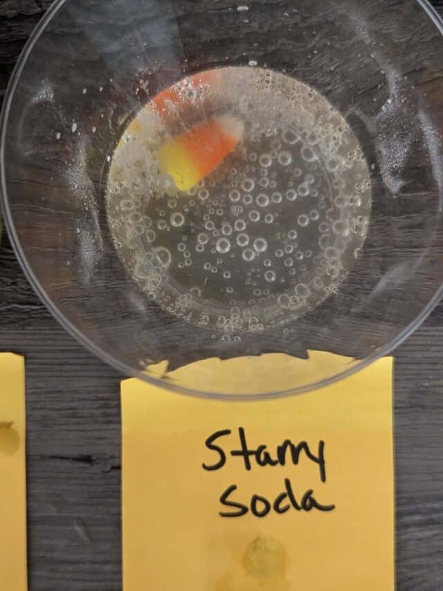 Candy Corn Experiment - 2 Age Levels - The Homeschool Scientist