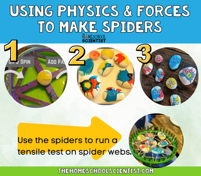 Spider Craft Using Physics - The Homeschool Scientist