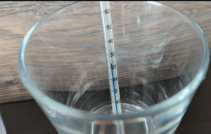 Candy Corn Experiment - 2 Age Levels - The Homeschool Scientist