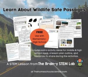 Over 65 STEM Activities For Kids - The Homeschool Scientist