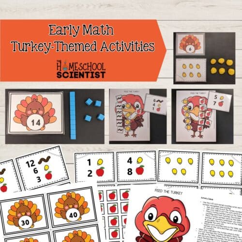 Hands-on Fall and Thanksgiving Math Activities & Worksheets - The ...