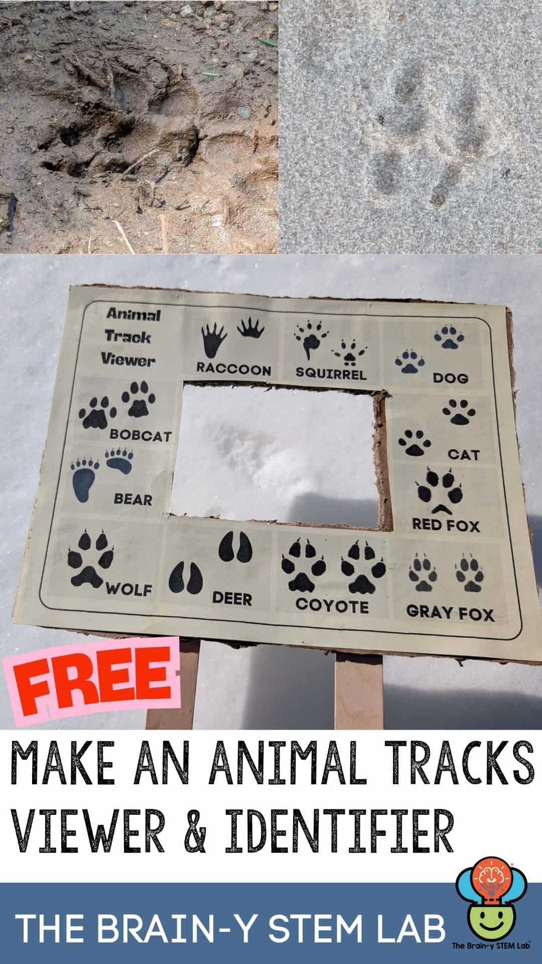 Animal Tracks Printable with Capturing Animal Tracks Activity - The ...