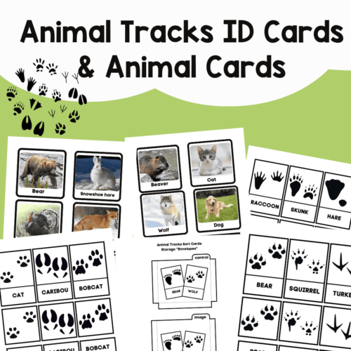 Animal Tracks Printable with Capturing Animal Tracks Activity - The ...