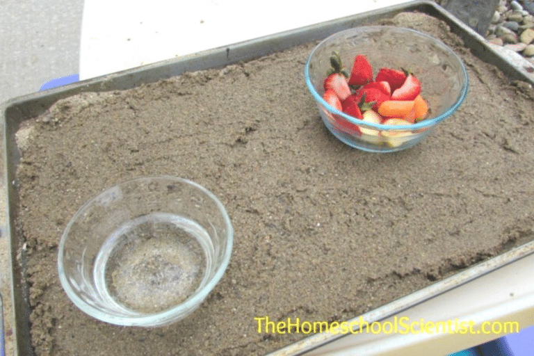 Animal Tracks Printable with Capturing Animal Tracks Activity - The ...