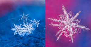 Snowflake Science with Printable - The Homeschool Scientist