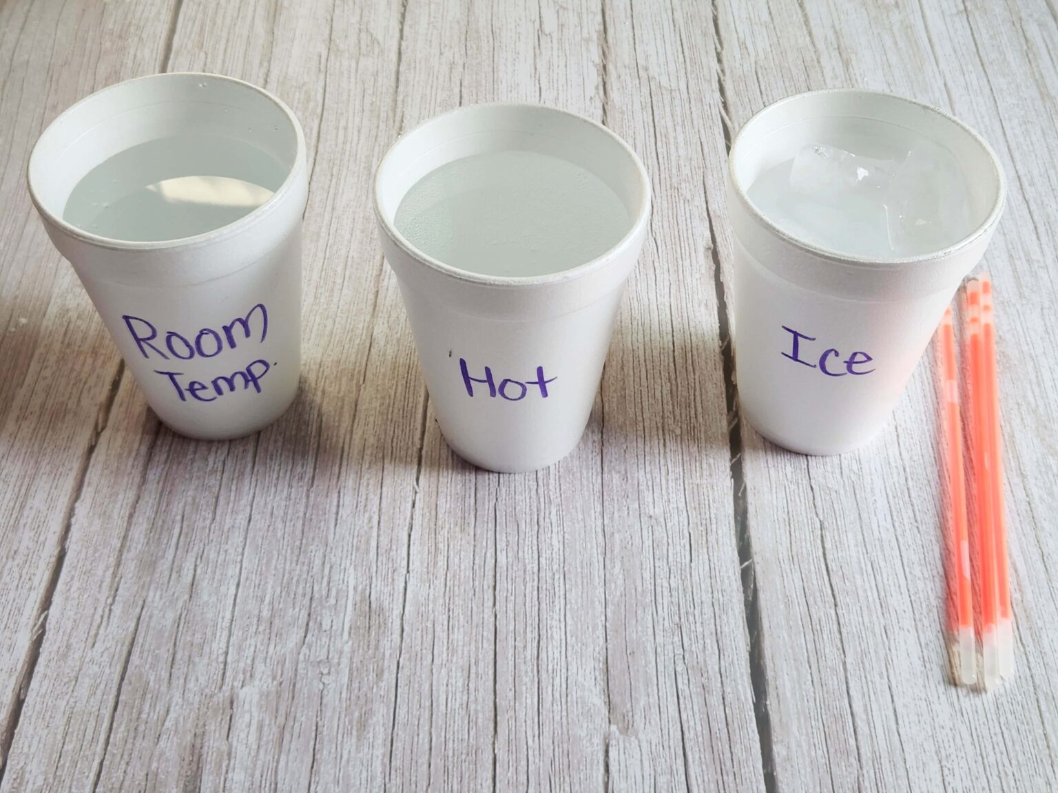 Glow Stick Experiment with Free Lesson Printable - The Homeschool Scientist