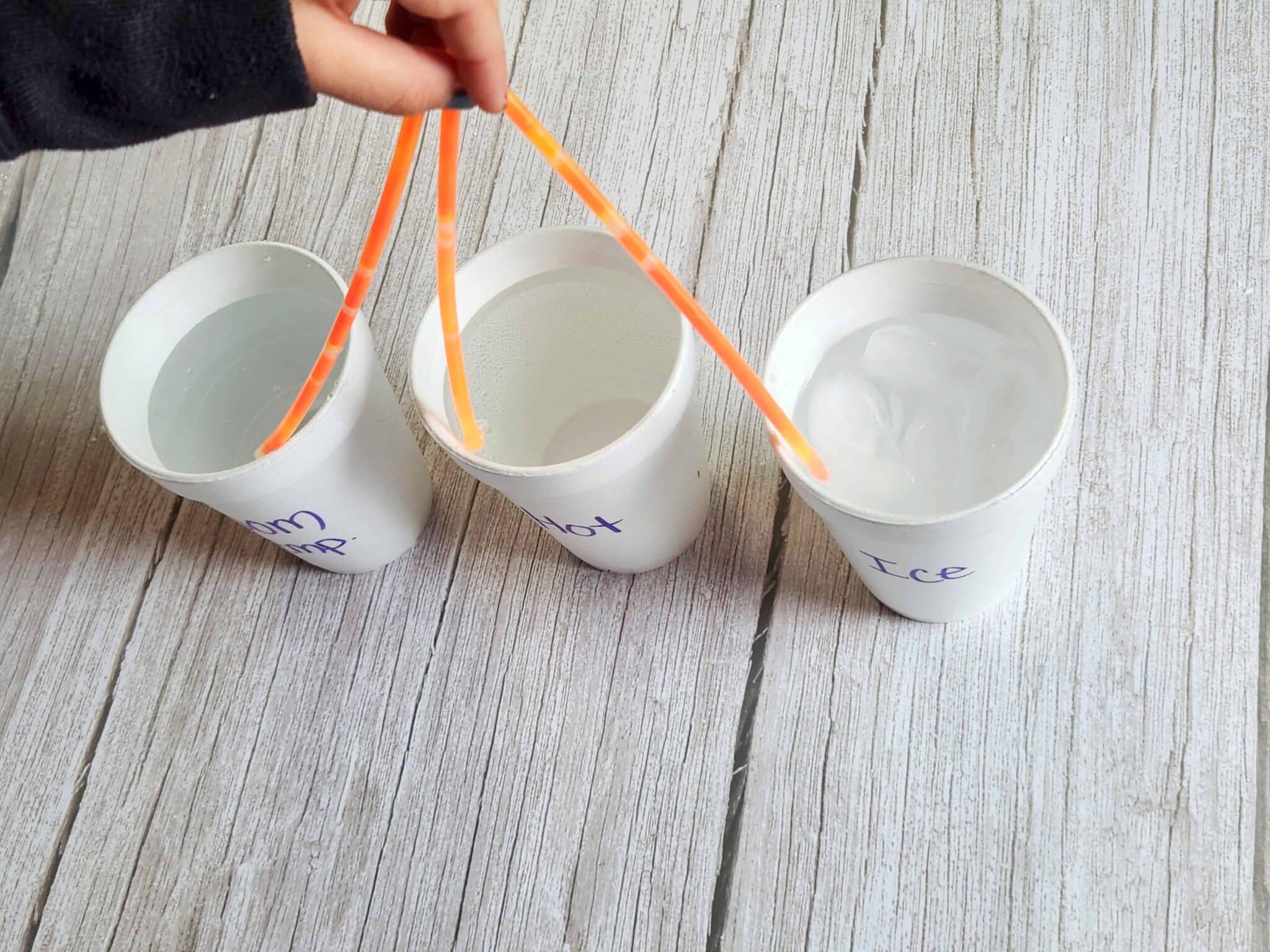 Glow Stick Experiment with Free Lesson Printable - The Homeschool Scientist