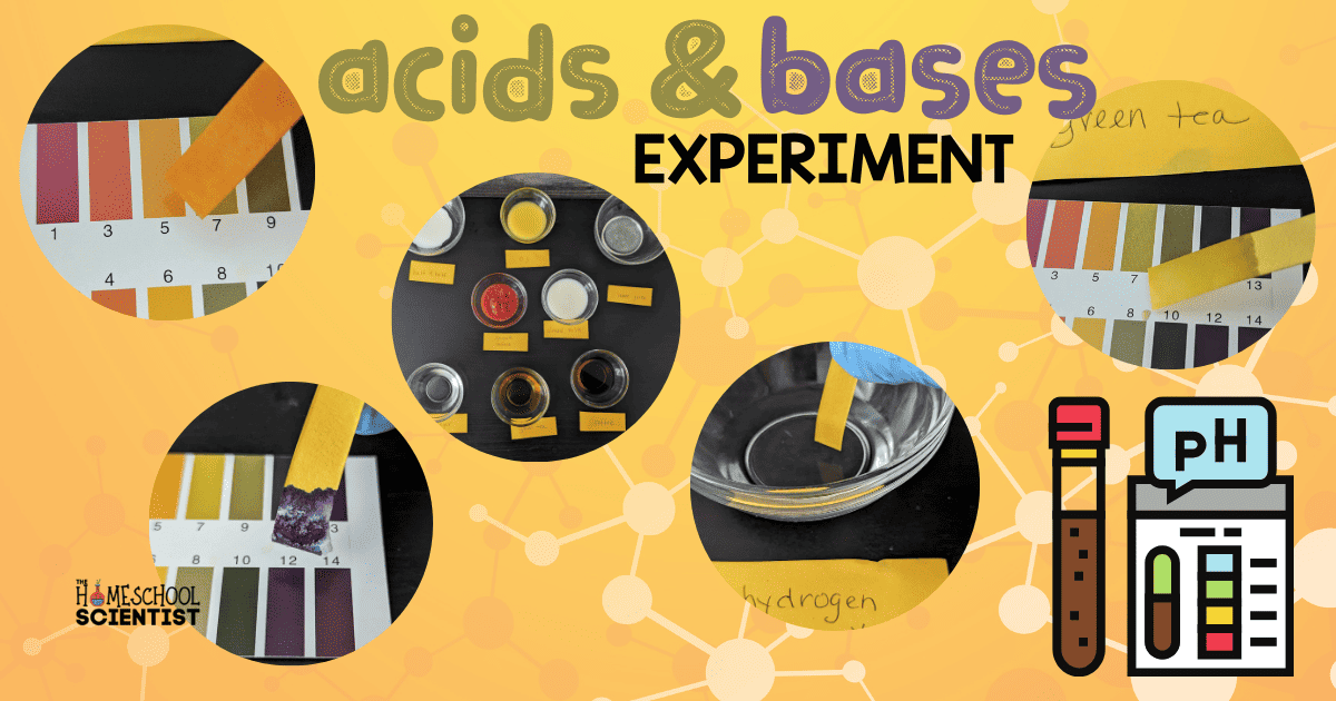 Acid and Base Experiment - The Homeschool Scientist