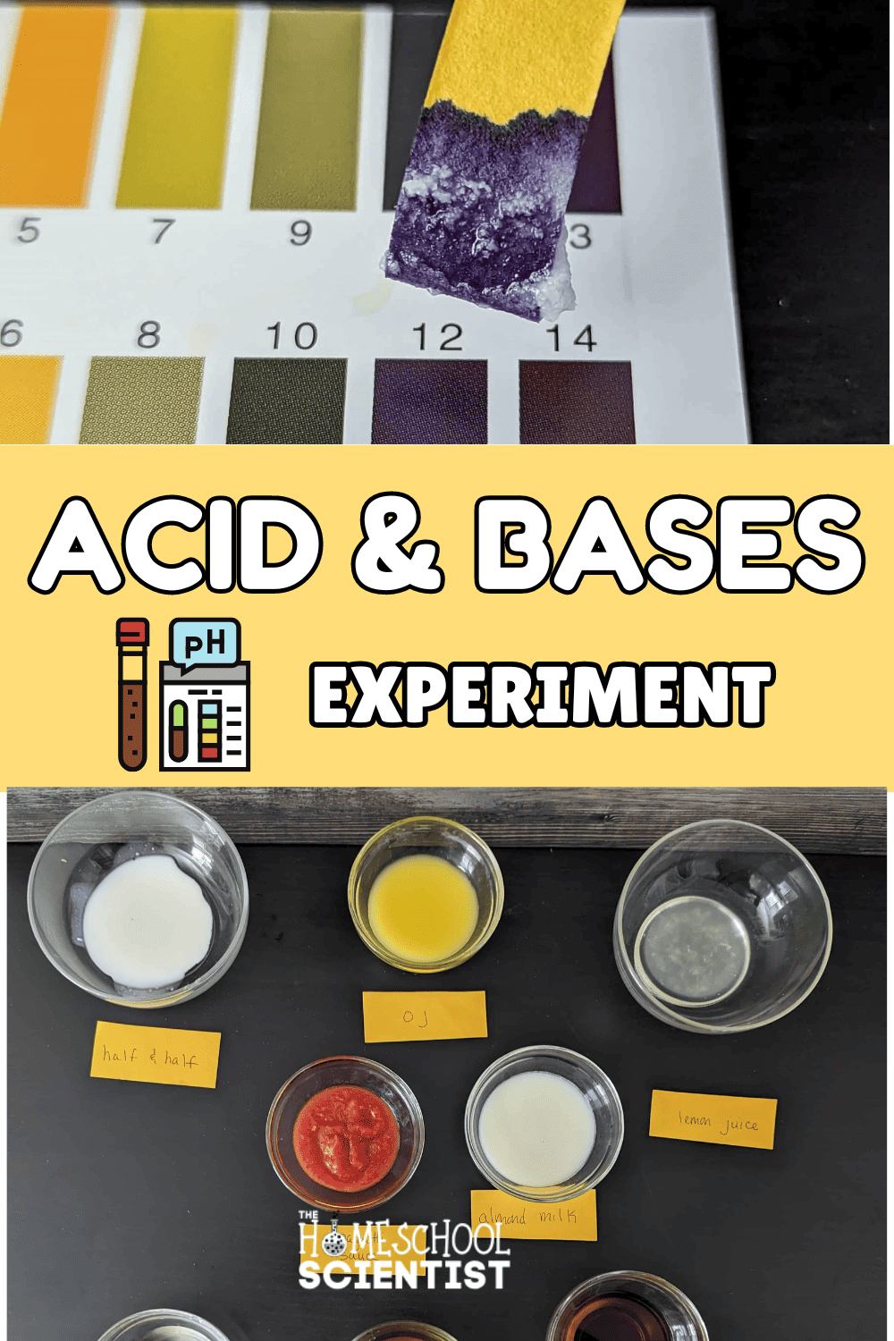 Acid and Base Experiment - The Homeschool Scientist