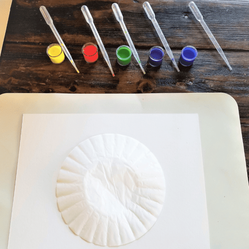 Coffee Filter Painting - A Surprise Science Lesson - The Homeschool ...