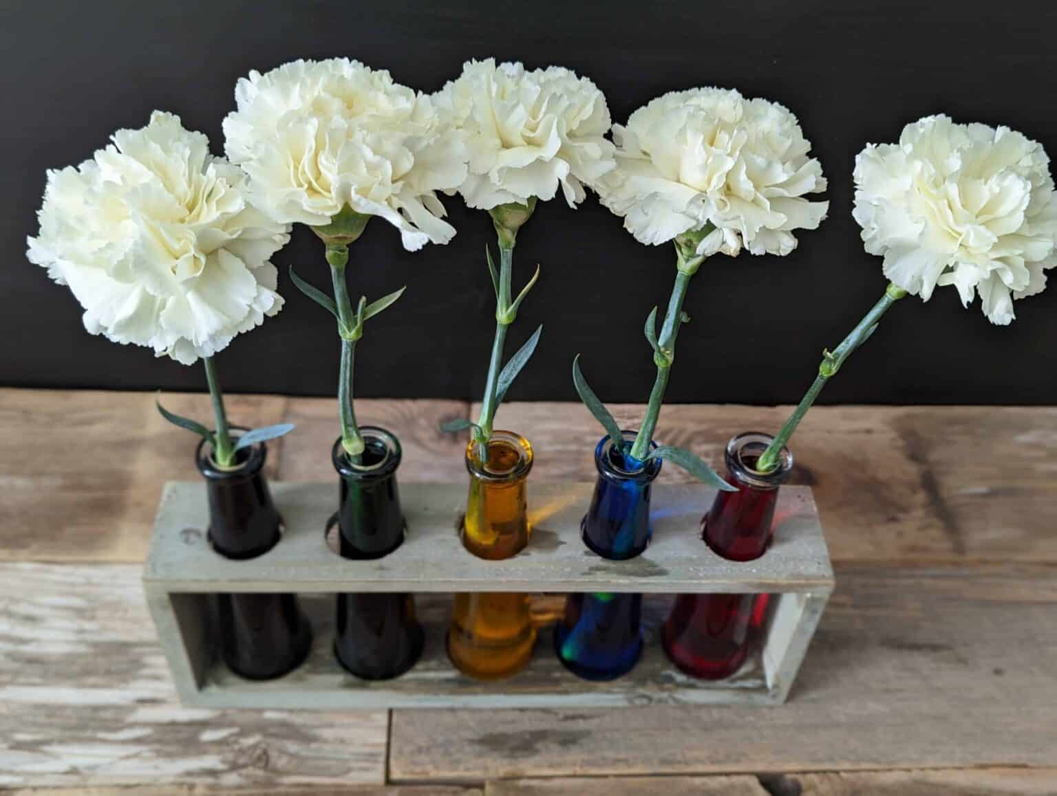 Color Changing Flowers Experiment with Free Printable - The Homeschool ...