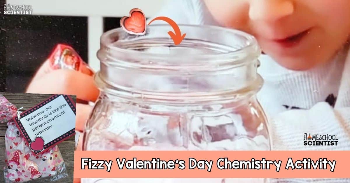 Valentine's Chemistry Activity with Free Printable - The Homeschool ...