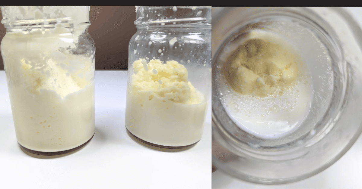Making Butter in a Jar Science Experiment with Worksheets - The ...