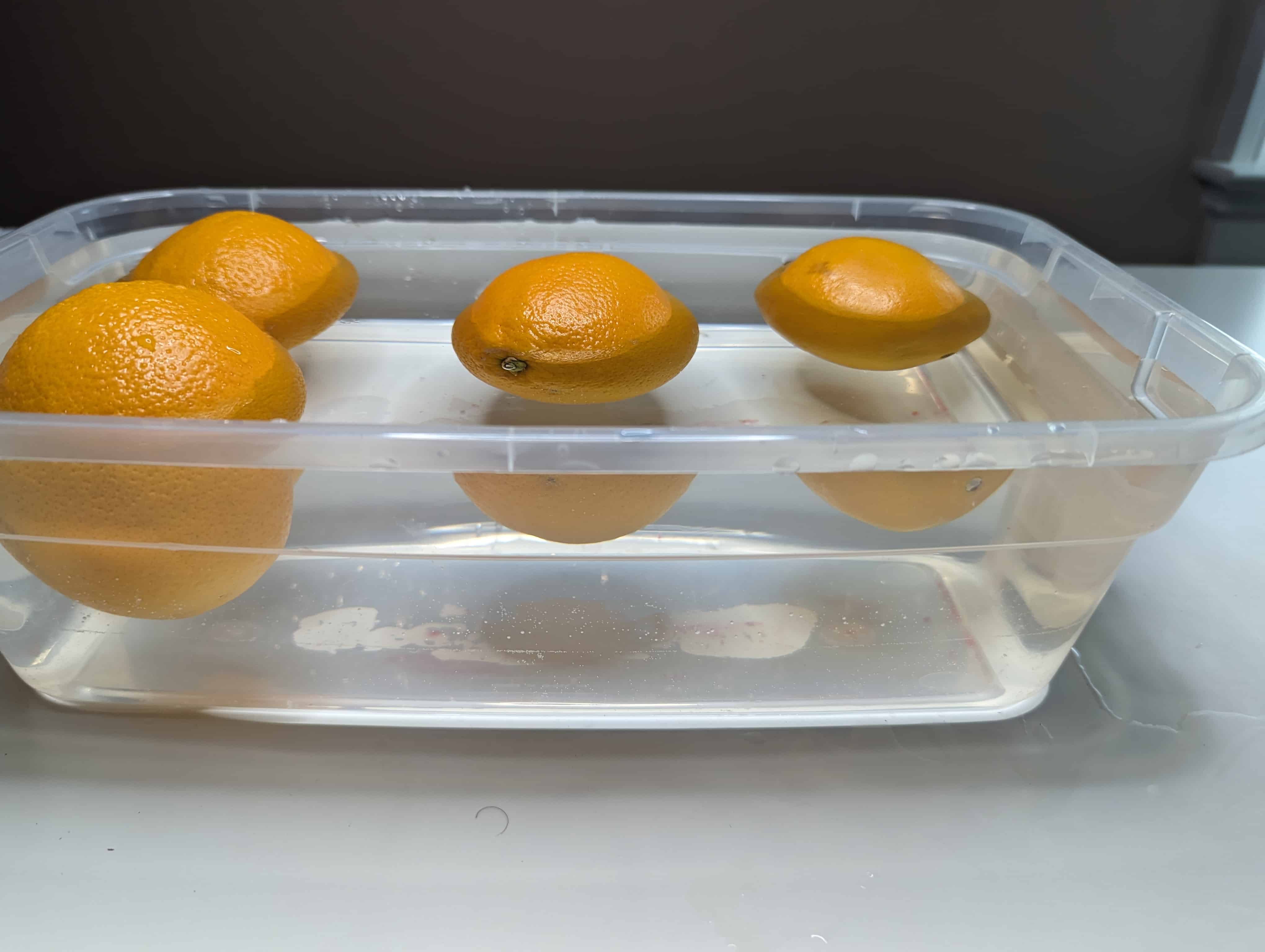 Easy Science Experiments with Oranges - The Homeschool Scientist
