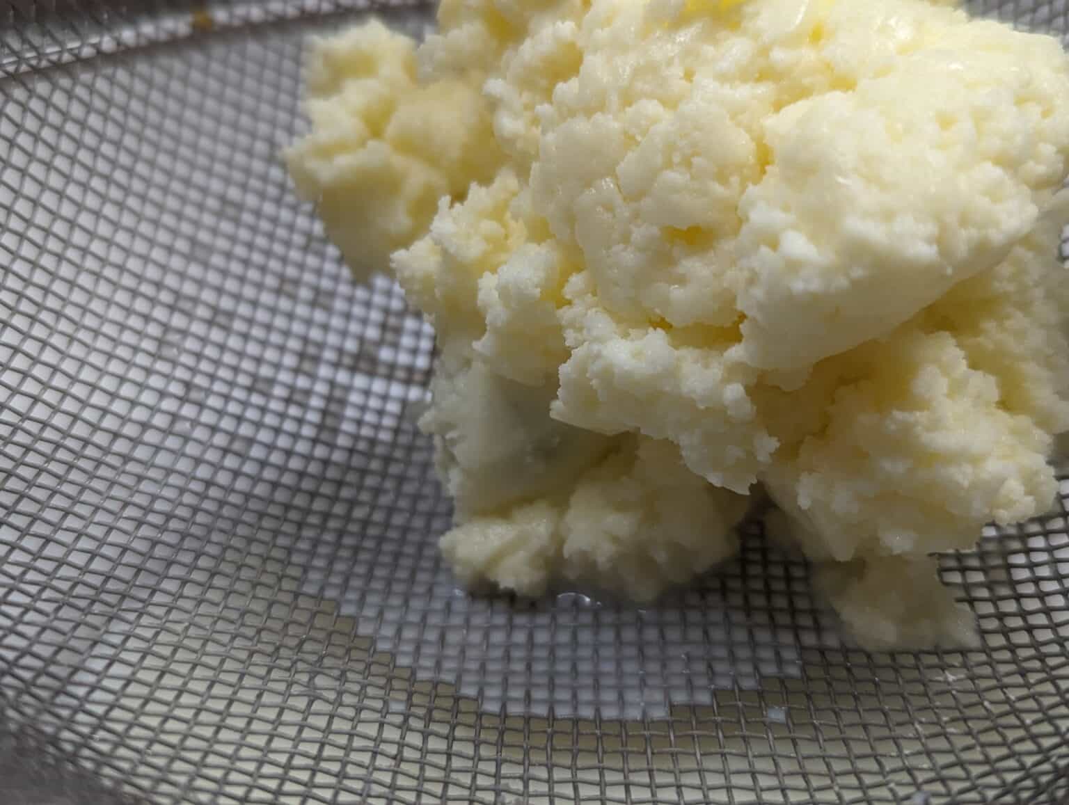Making Butter in a Jar Science Experiment with Worksheets - The ...