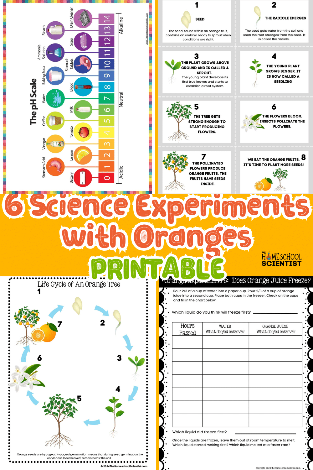 Easy Science Experiments with Oranges - The Homeschool Scientist
