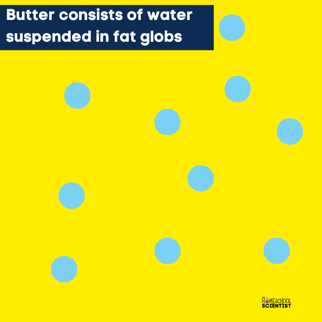 Making Butter in a Jar Science Experiment with Worksheets - The ...