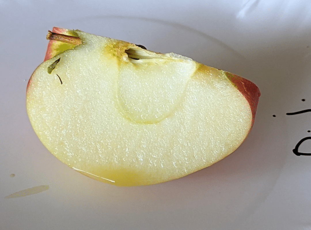 Vitamin C And Apple Experiment - The Homeschool Scientist