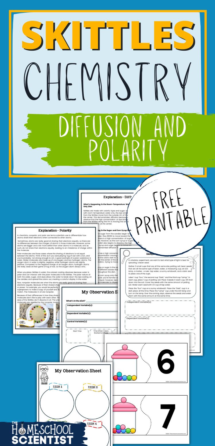 Skittles Experiment with Worksheets - The Homeschool Scientist