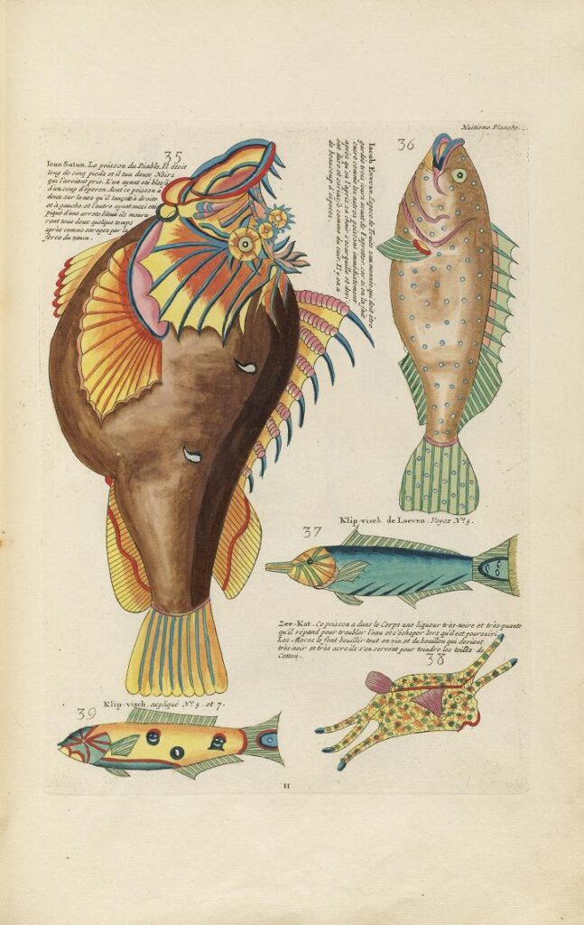 STEAM Activity - Be a Biology Illustrator - The Homeschool Scientist