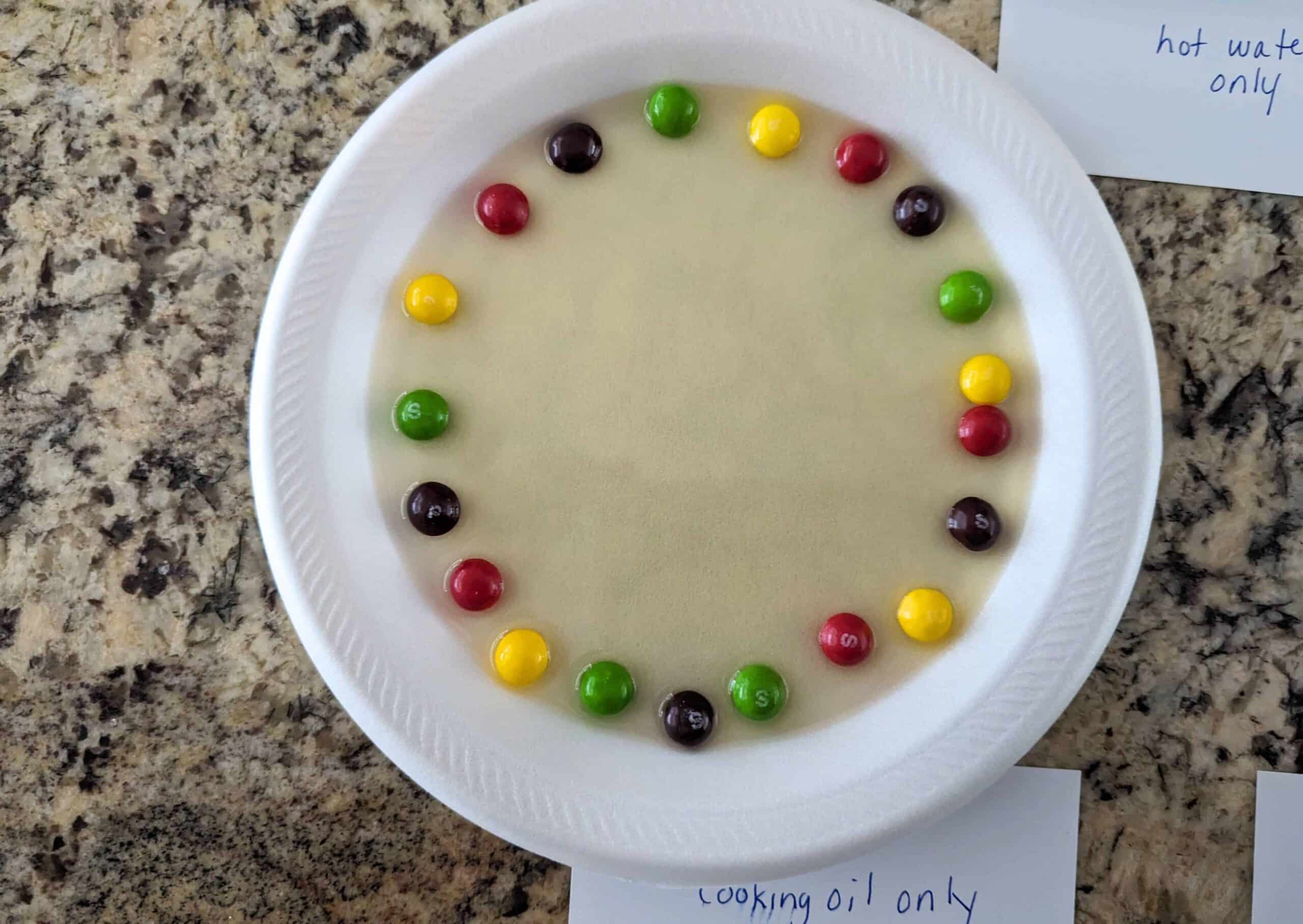 Skittles Experiment with Worksheets - The Homeschool Scientist