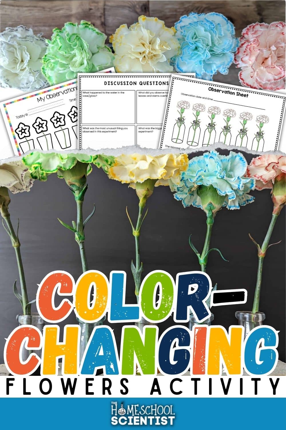 Color Changing Flowers Experiment with Free Printable - The Homeschool ...