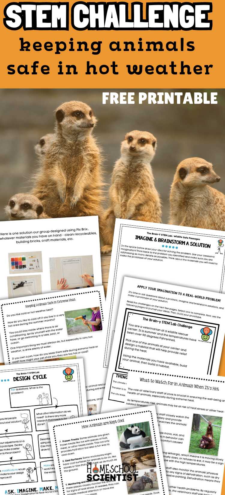 STEM Challenge - Keeping Animals Safe in Hot Weather - The Homeschool ...
