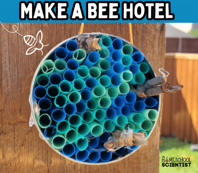 Make a Bee Hotel Activity for Kids - The Homeschool Scientist