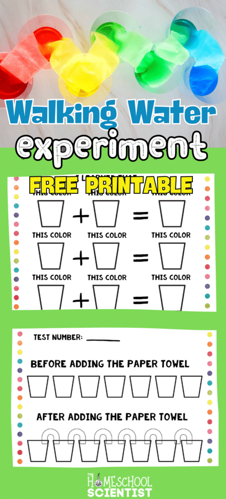 Walking Water Experiment with Worksheets - The Homeschool Scientist
