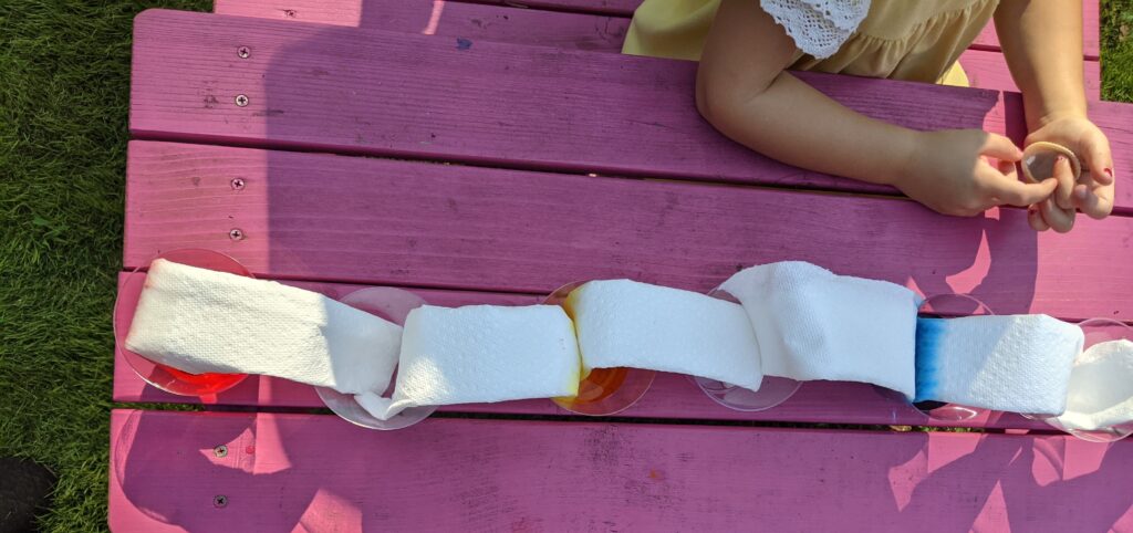 Walking Water Experiment with Worksheets - The Homeschool Scientist