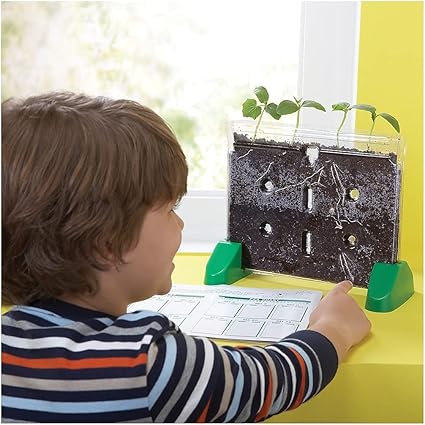 Life Cycle Of A Plant Lesson -Free Printable - The Homeschool Scientist