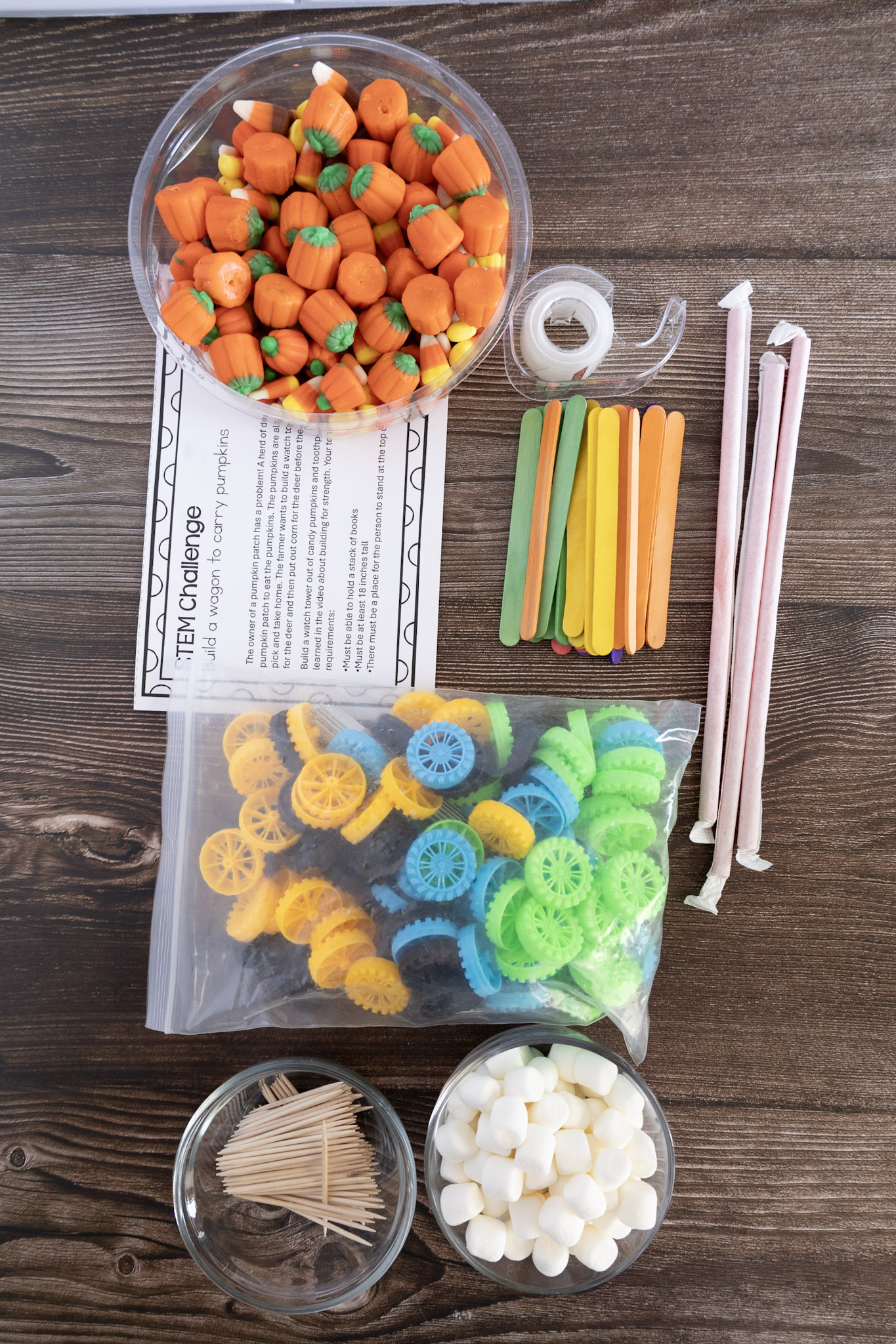 Fun Fall STEM Challenges - The Homeschool Scientist