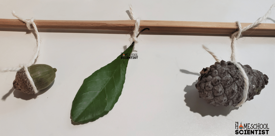 Fall Chemistry Activity - Grow Crystals - The Homeschool Scientist