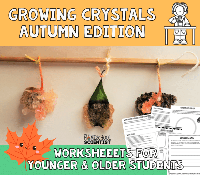 Chemistry - The Homeschool Scientist