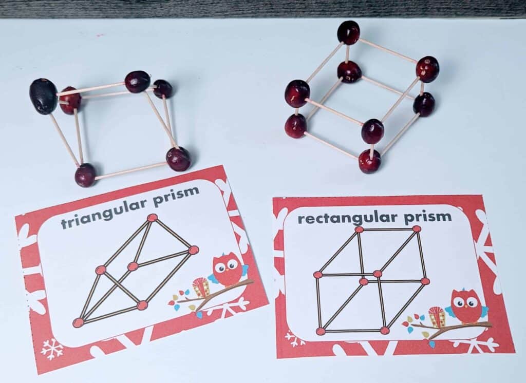 Winter Themed 2D and 3D Activity Cards and Mats - The Homeschool Scientist