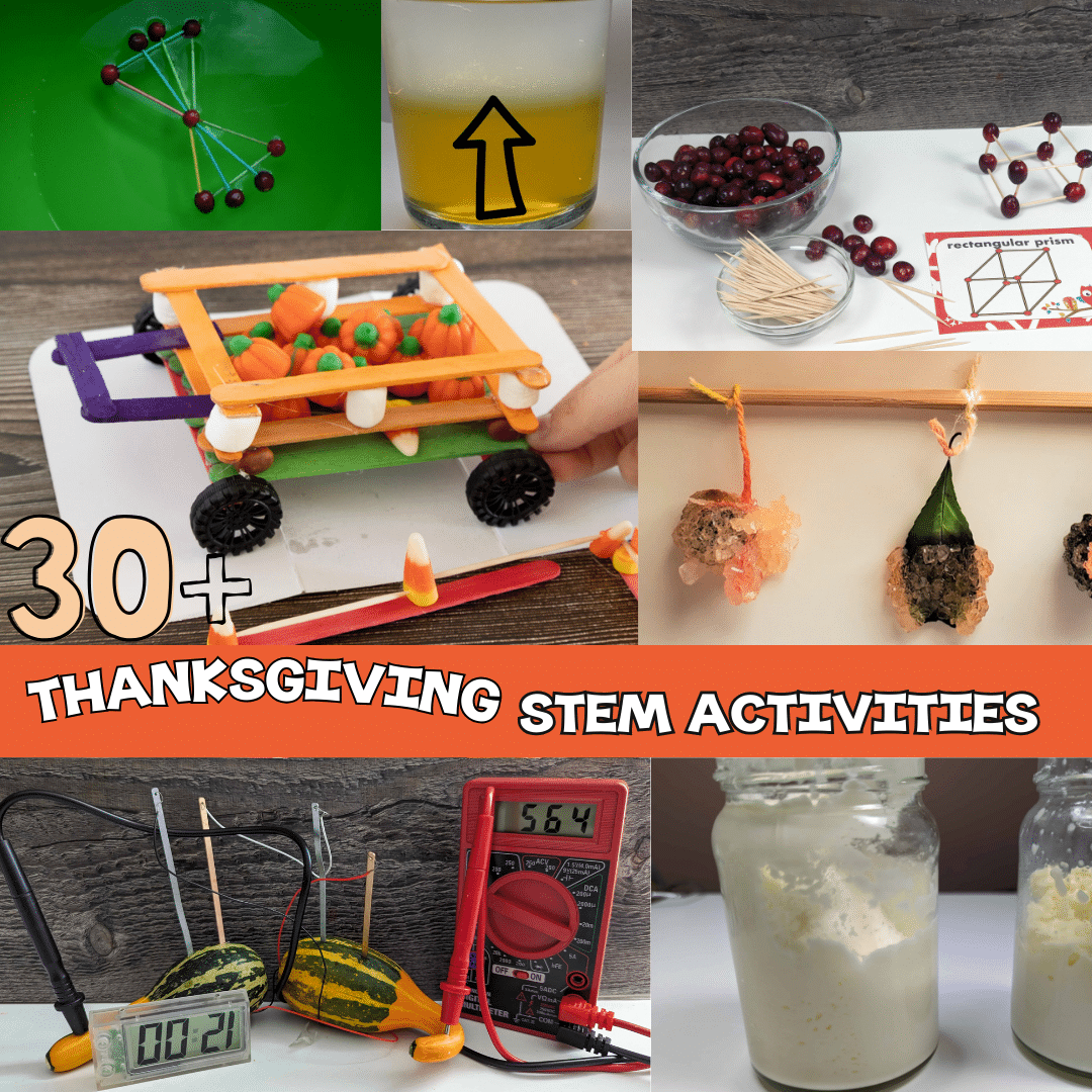 Fall and Thanksgiving STEM Activities - The Homeschool Scientist