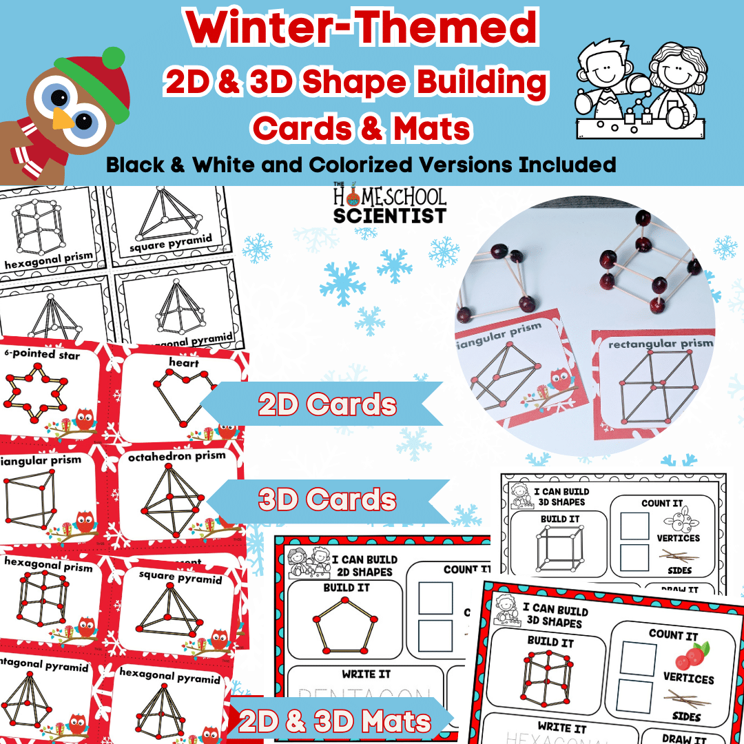 Winter Themed 2D and 3D Activity Cards and Mats - The Homeschool Scientist