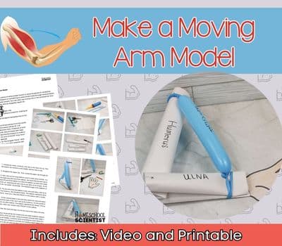 Experiments - The Homeschool Scientist