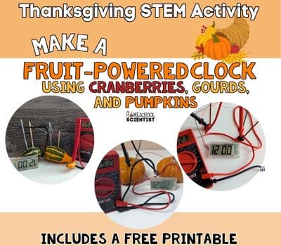 How to Make a Fruit Powered Clock - The Homeschool Scientist