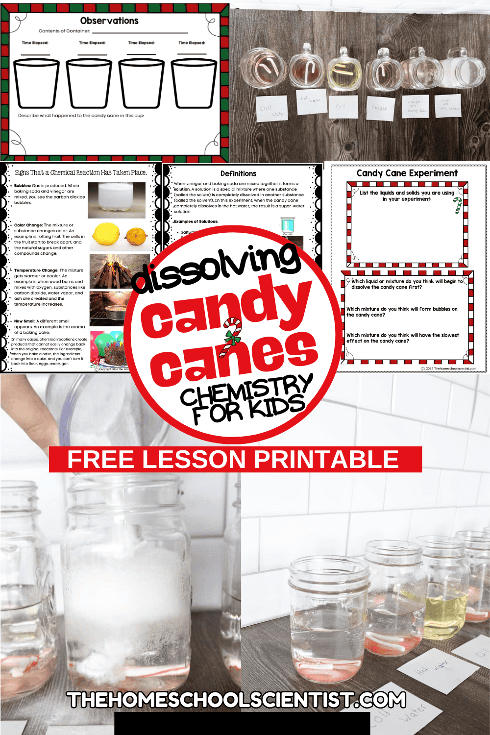 Dissolving Candy Canes Experiment and Worksheets - The Homeschool Scientist