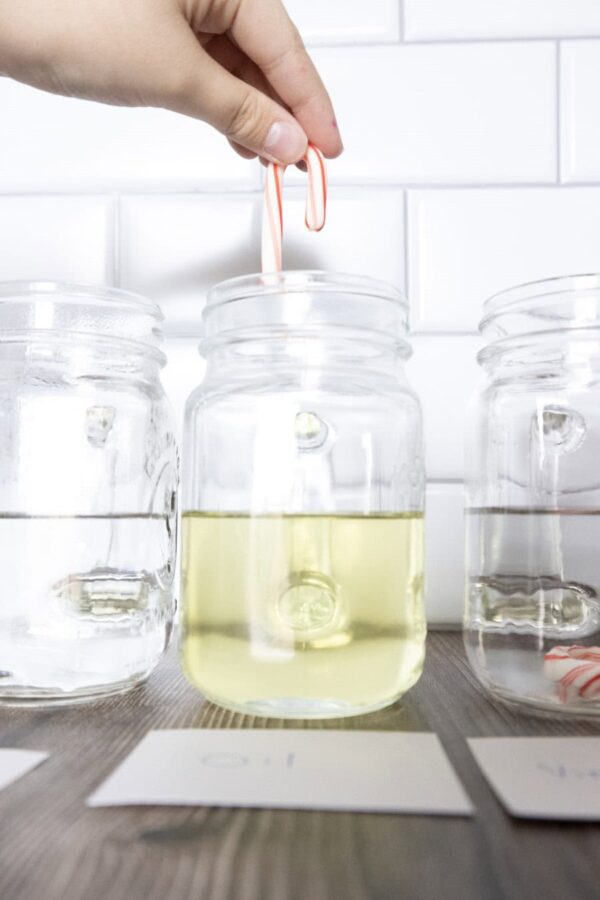 Dissolving Candy Canes Experiment and Worksheets - The Homeschool Scientist