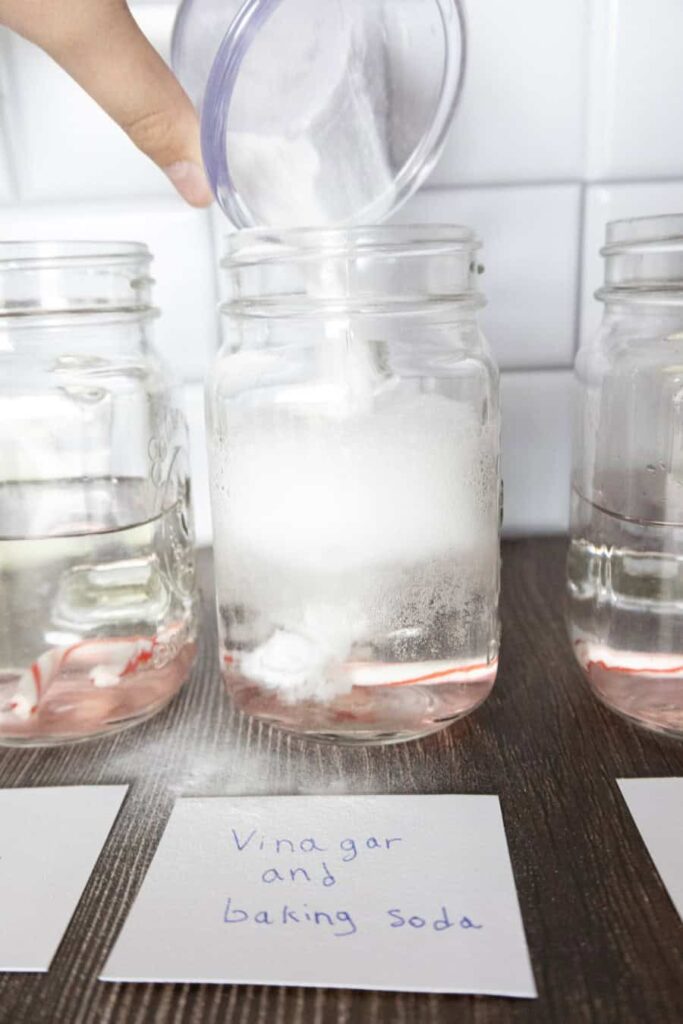 Dissolving Candy Canes Experiment and Worksheets - The Homeschool Scientist