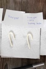 Dissolving Candy Canes Experiment and Worksheets - The Homeschool Scientist