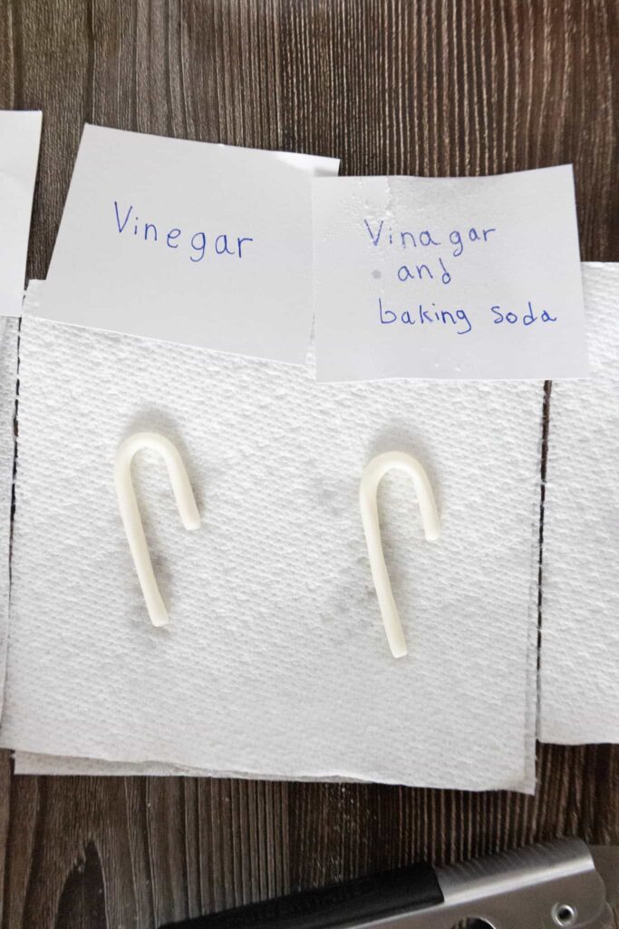 Dissolving Candy Canes Experiment and Worksheets - The Homeschool Scientist