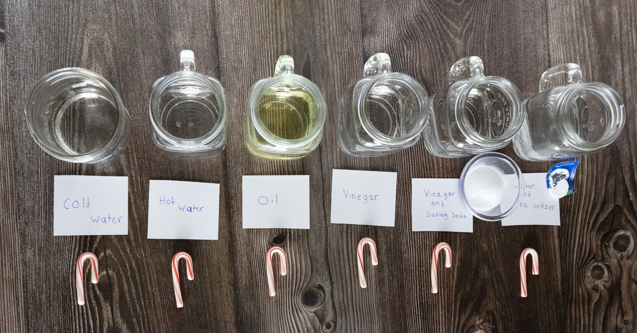 Dissolving Candy Canes Experiment and Worksheets - The Homeschool Scientist