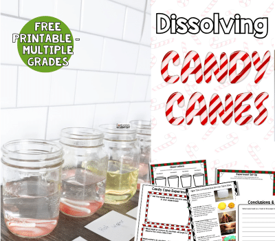 Dissolving Candy Canes Experiment and Worksheets - The Homeschool Scientist