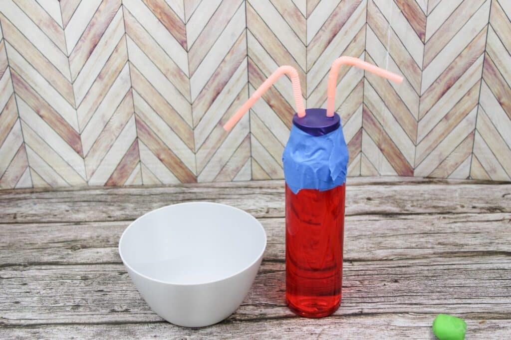 How to Make a Pumping Heart Model and Explanation - The Homeschool ...