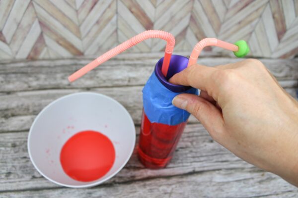 How to Make a Pumping Heart Model and Explanation - The Homeschool ...