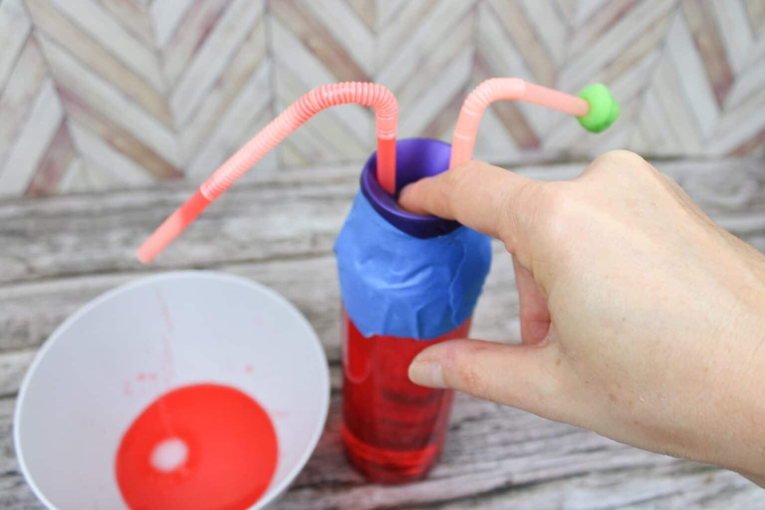 How to Make a Pumping Heart Model and Explanation - The Homeschool ...