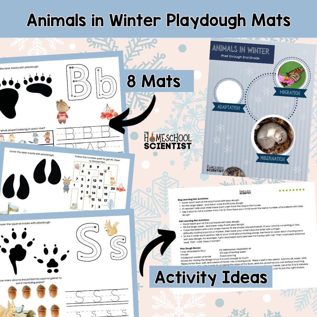 Animals in Winter Lesson and Worksheets - The Homeschool Scientist